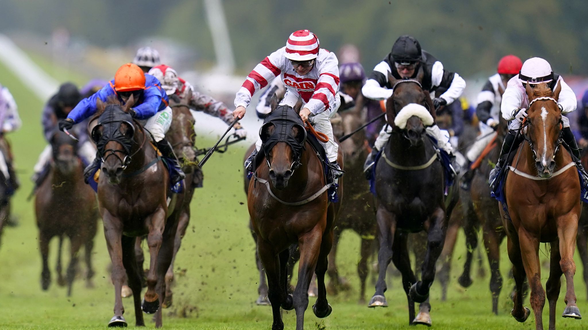 Goodwood Festival: Sumo Sam causes shock in Lillie Langtry as Tom ...