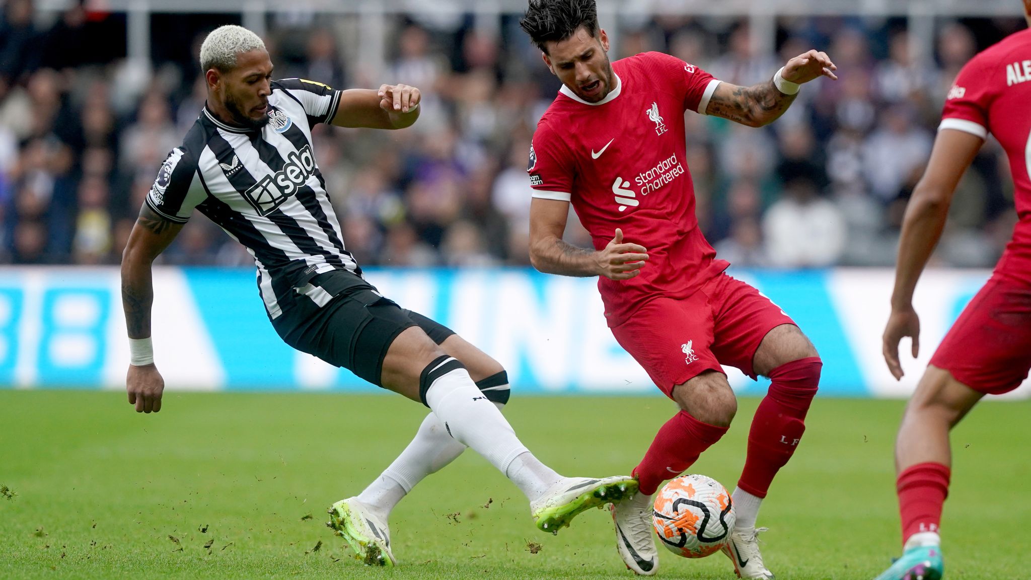 Newcastle's Champions League return means everything to club and fans ...