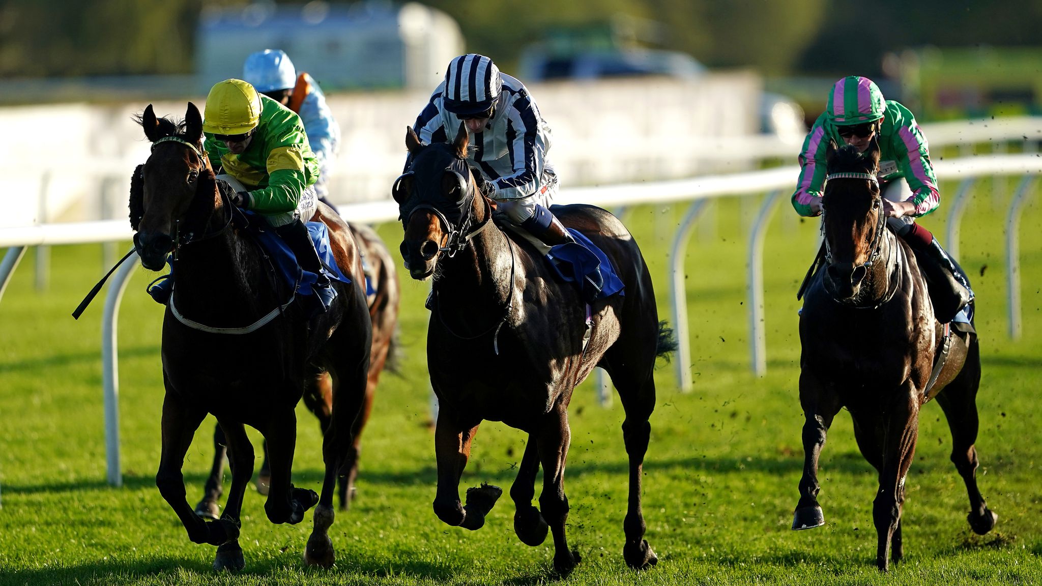 Today on Sky Sports Racing: All eyes on Wolverhampton for competitive ...