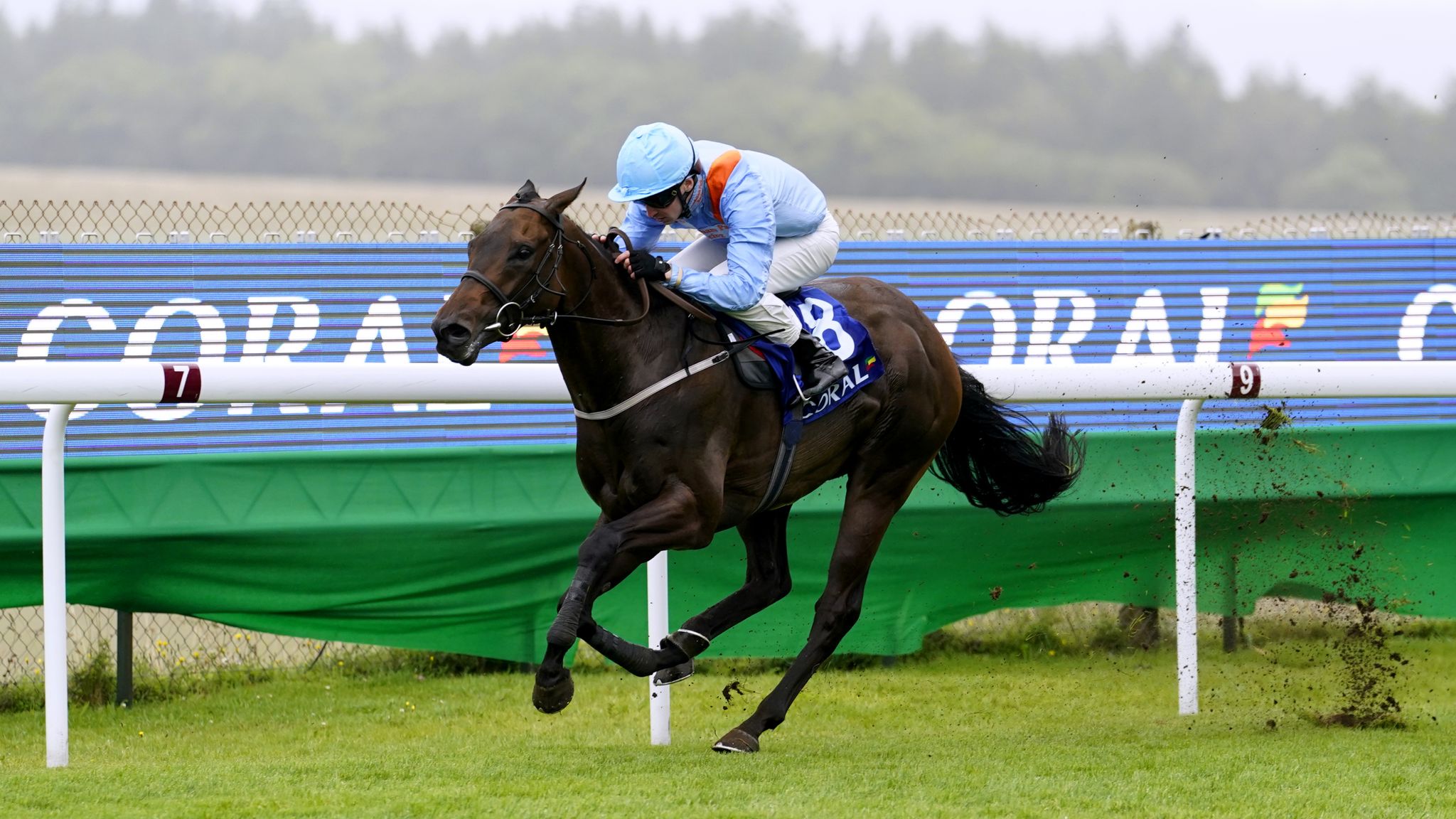 Goodwood Festival: Sumo Sam causes shock in Lillie Langtry as Tom ...