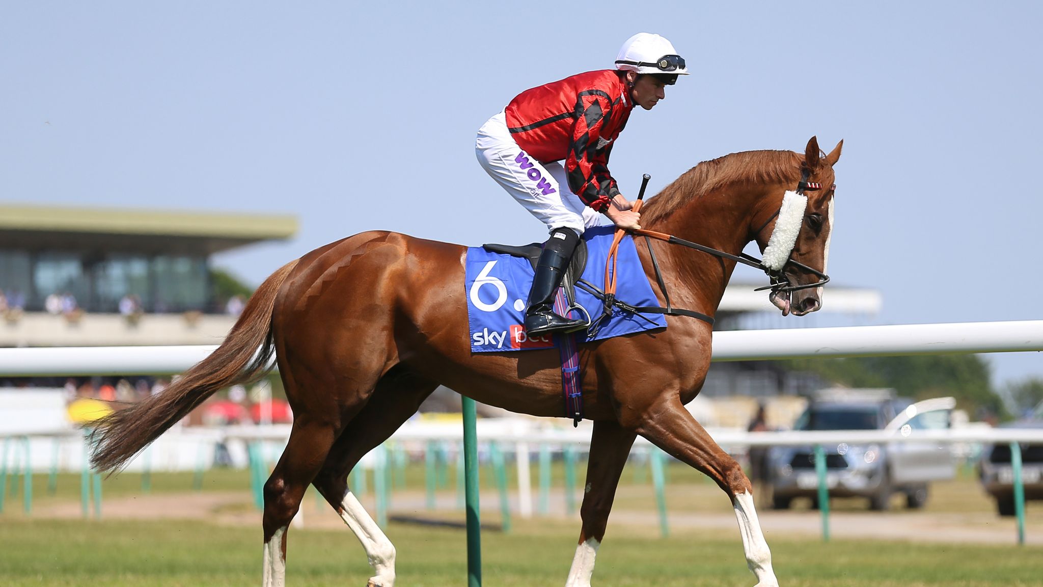 Saturday racing tips: Shergar Cup selections at Ascot from Sky Sports ...