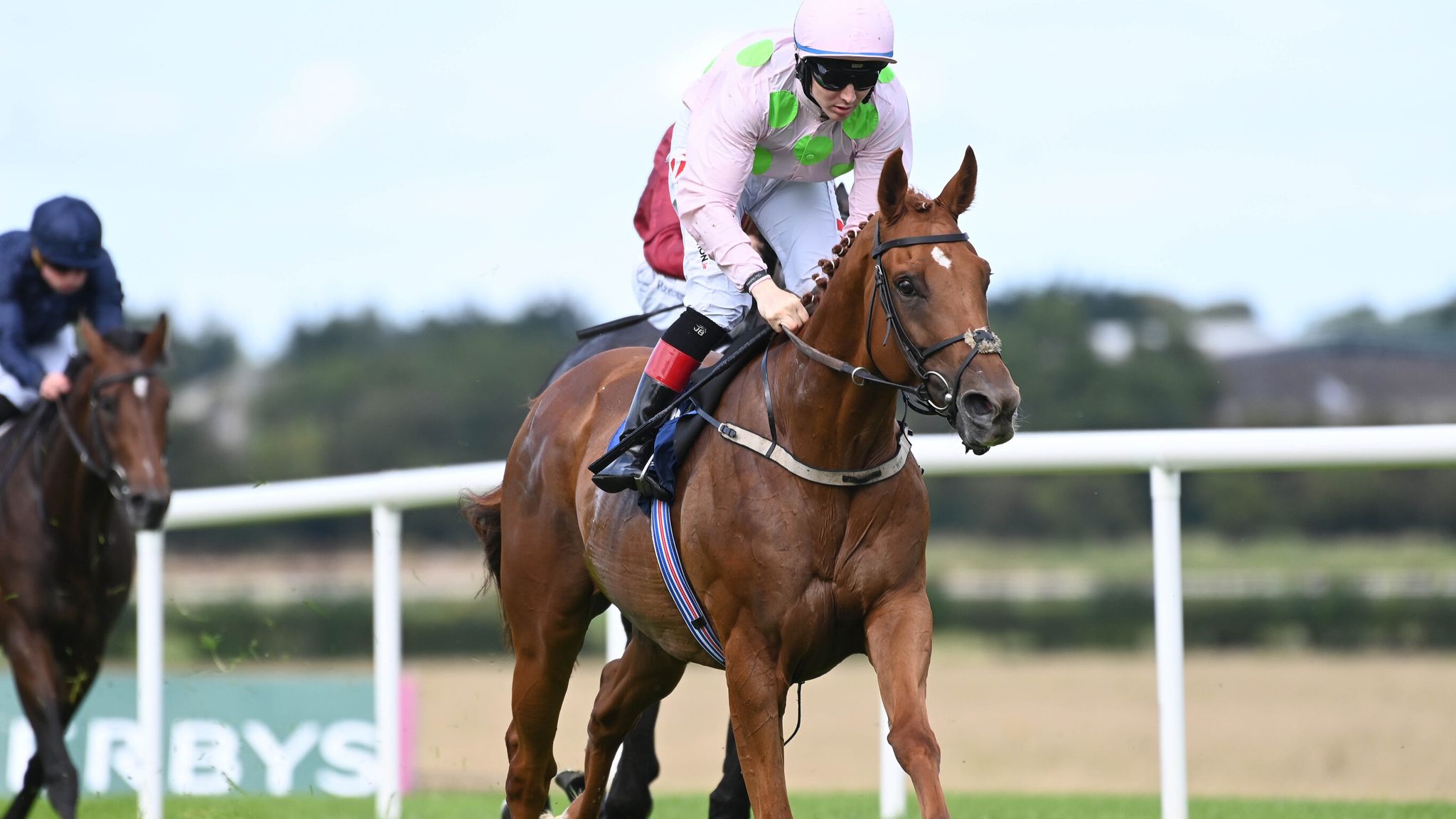 Melbourne Cup: Vauban delights Willie Mullins' camp after settling in well in Australia ...