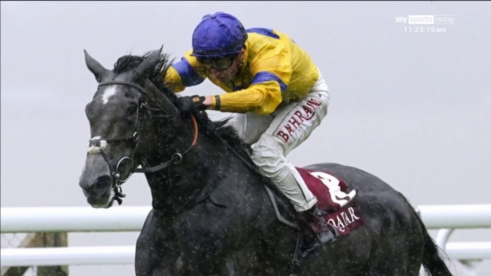 Cole team delighted with Sumo Sam ahead of Park Hill | Racing News ...