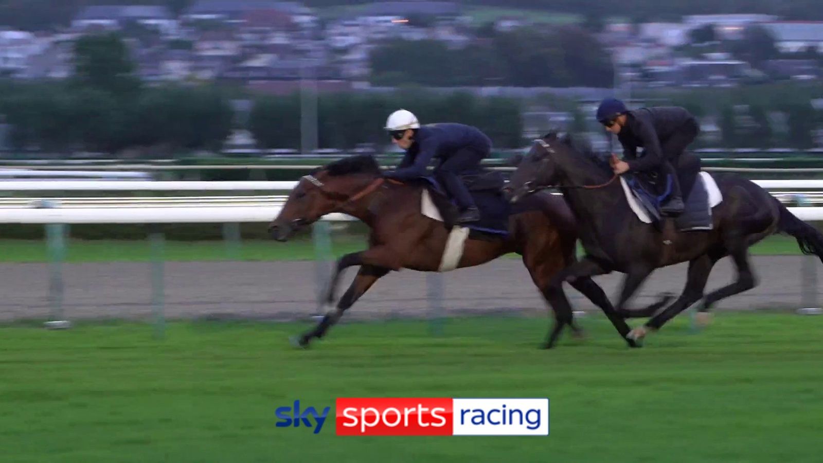 Prix de l'Arc de Triomphe: Favourite Ace Impact impresses in workout ...