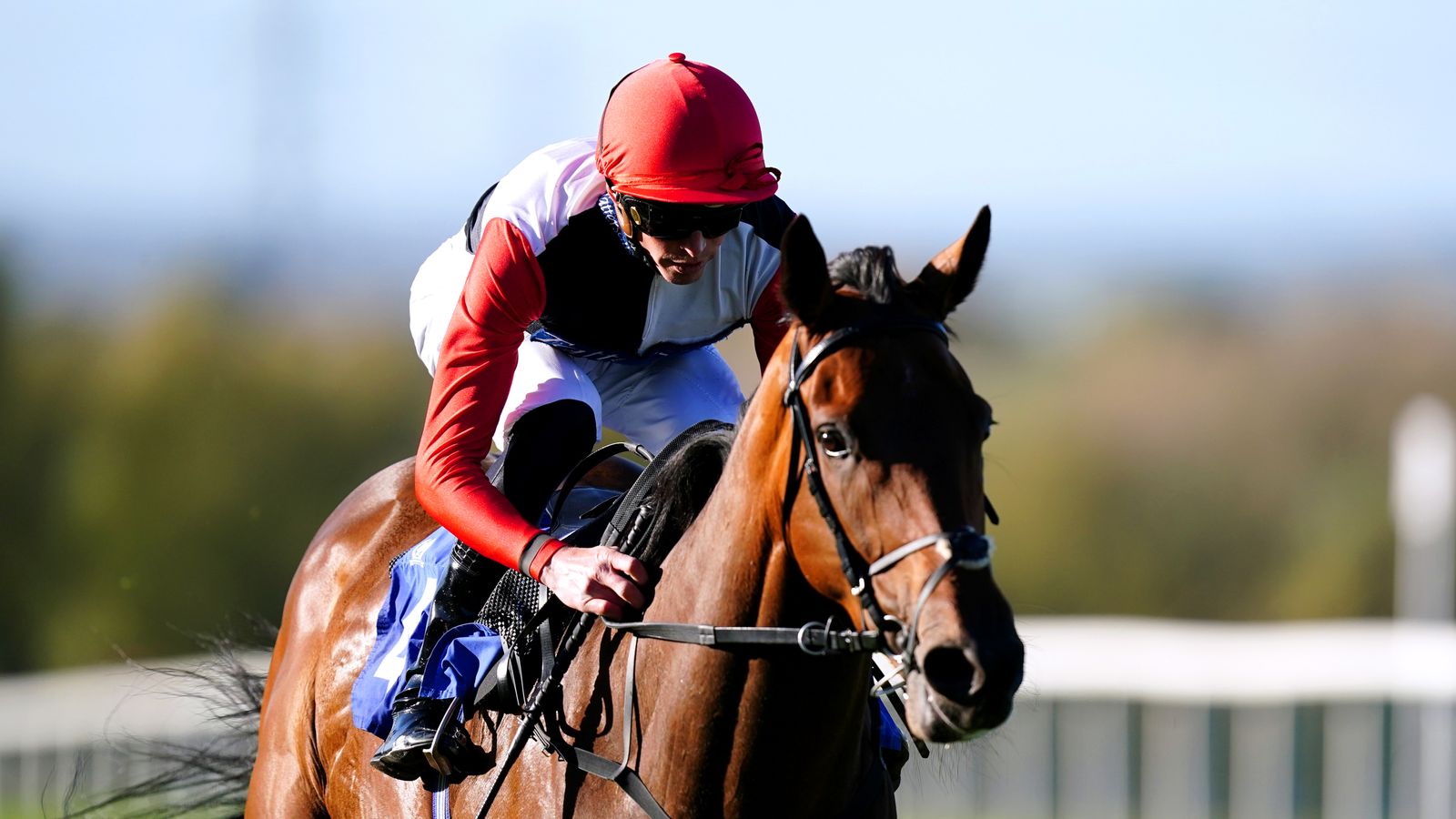Racing round-up: Poker Face continues Simon and Ed Crisfords' hot ...