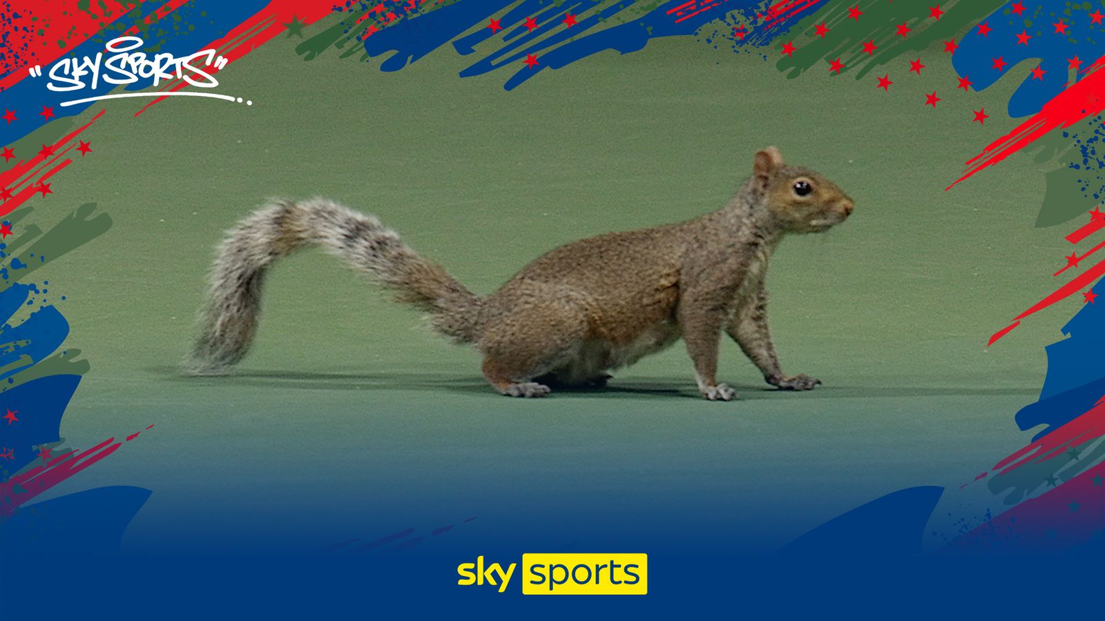 Squirrel stops play at US Open | 'Does he have a ticket?!' | Tennis News | Sky Sports