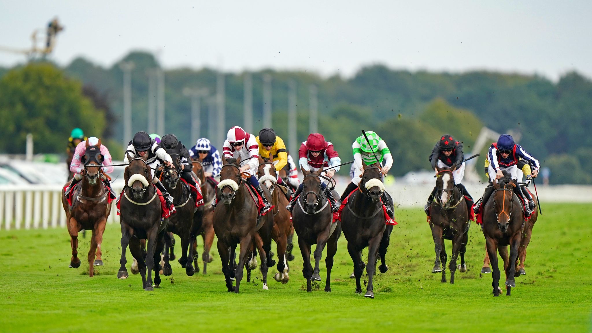 Betfred Champagne Stakes: Iberian shines in Doncaster Group Two for Tom ...