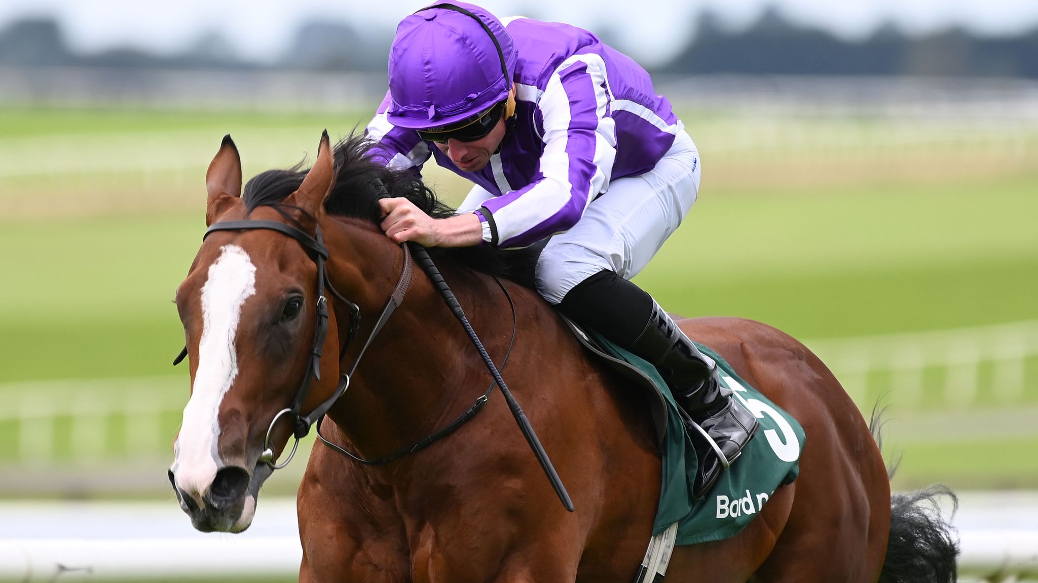 Kameko Futurity Trophy: Jamie Lynch's Doncaster Group One runner guide ...