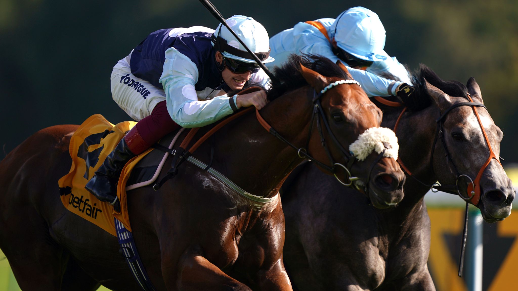 Haydock Sprint Cup: Regional provides Ed Bethell with first Group One ...