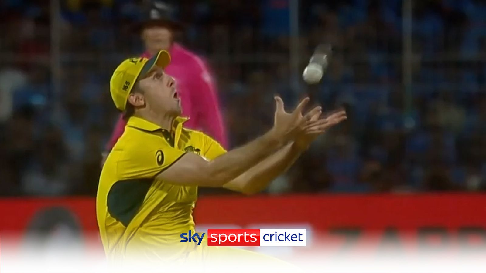 Cricket World Cup: India recover from poor start in run chase to beat ...