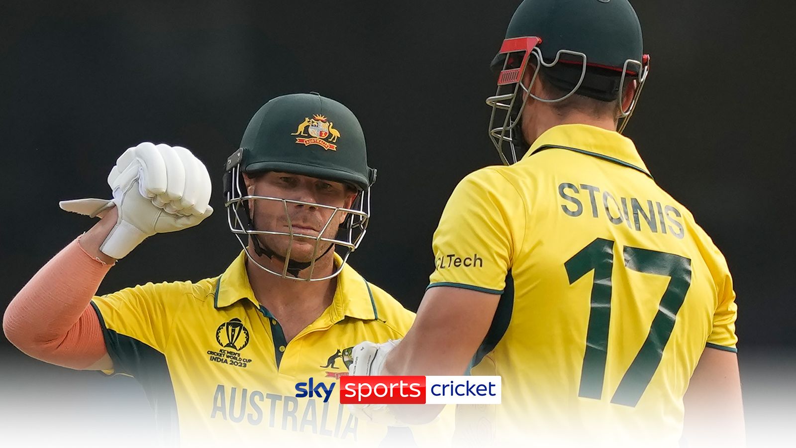 Bitesize Highlights: David Warner makes Pakistan pay with terrific ton ...