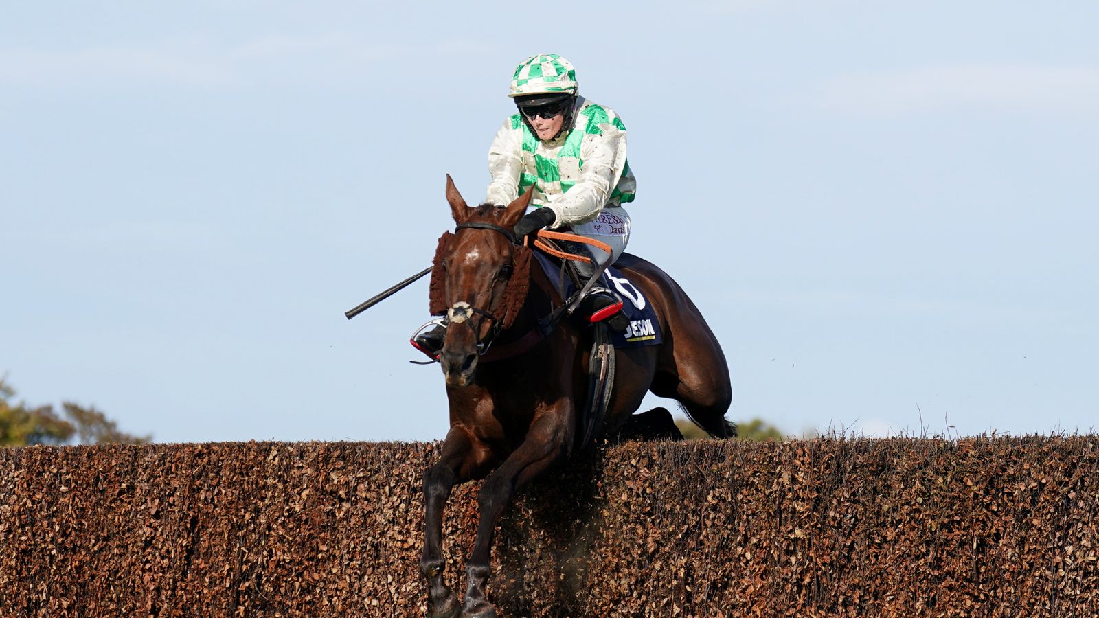 Old Roan: Jetoile lands Aintree Grade Two at 25/1 for Ryan Potter ...