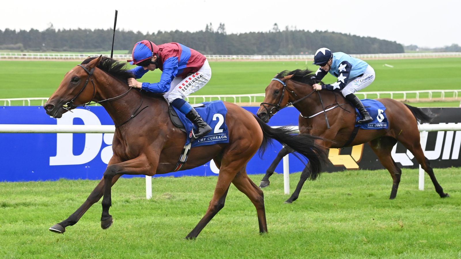 Racing round-up: Atrium denies Popmaster win Howden Challenge Cup at ...