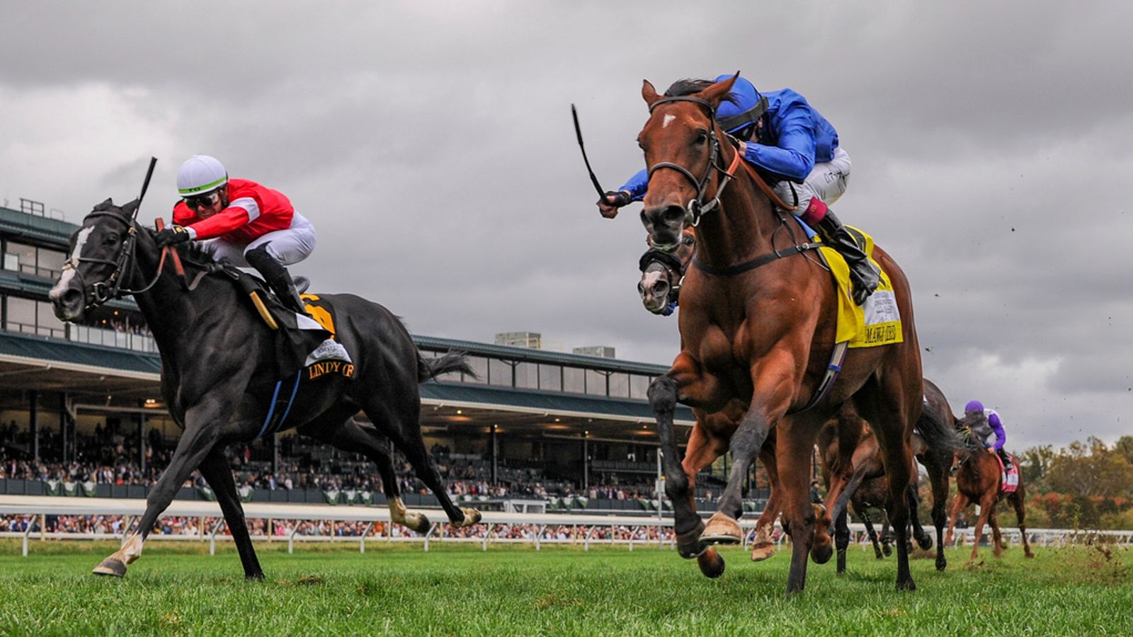 Racing round-up: Classic star Mawj retired from racing | Racing News ...