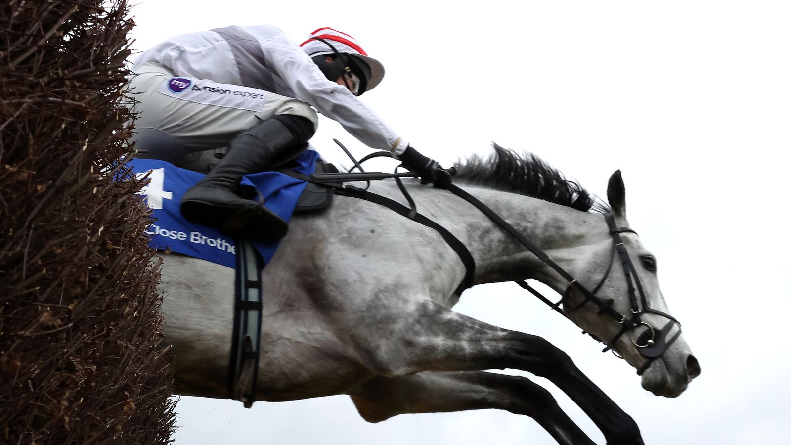 Paddy Power Gold Cup: Horse-by-horse guide to Saturday's Cheltenham ...