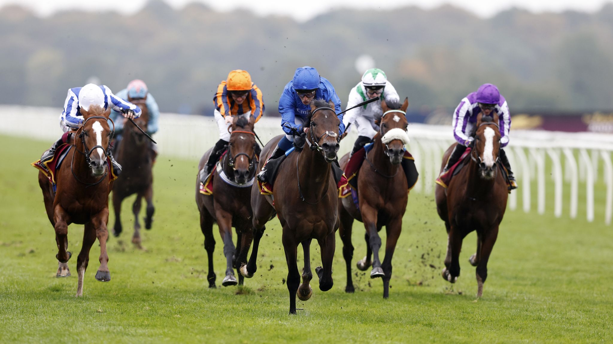 Qipco 2000 Guineas: Futurity Trophy star Ancient Wisdom given Newmarket ...