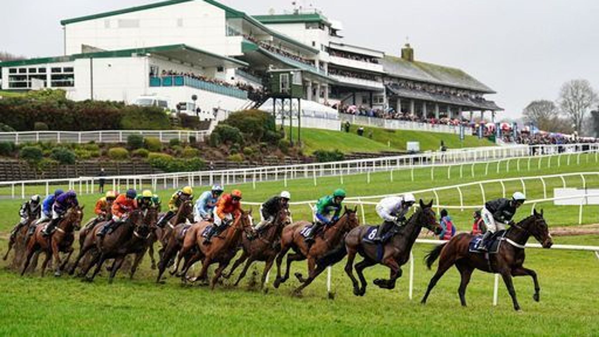 Persian War Novices' Hurdle: Runner-by-runner guide and expert verdict ...