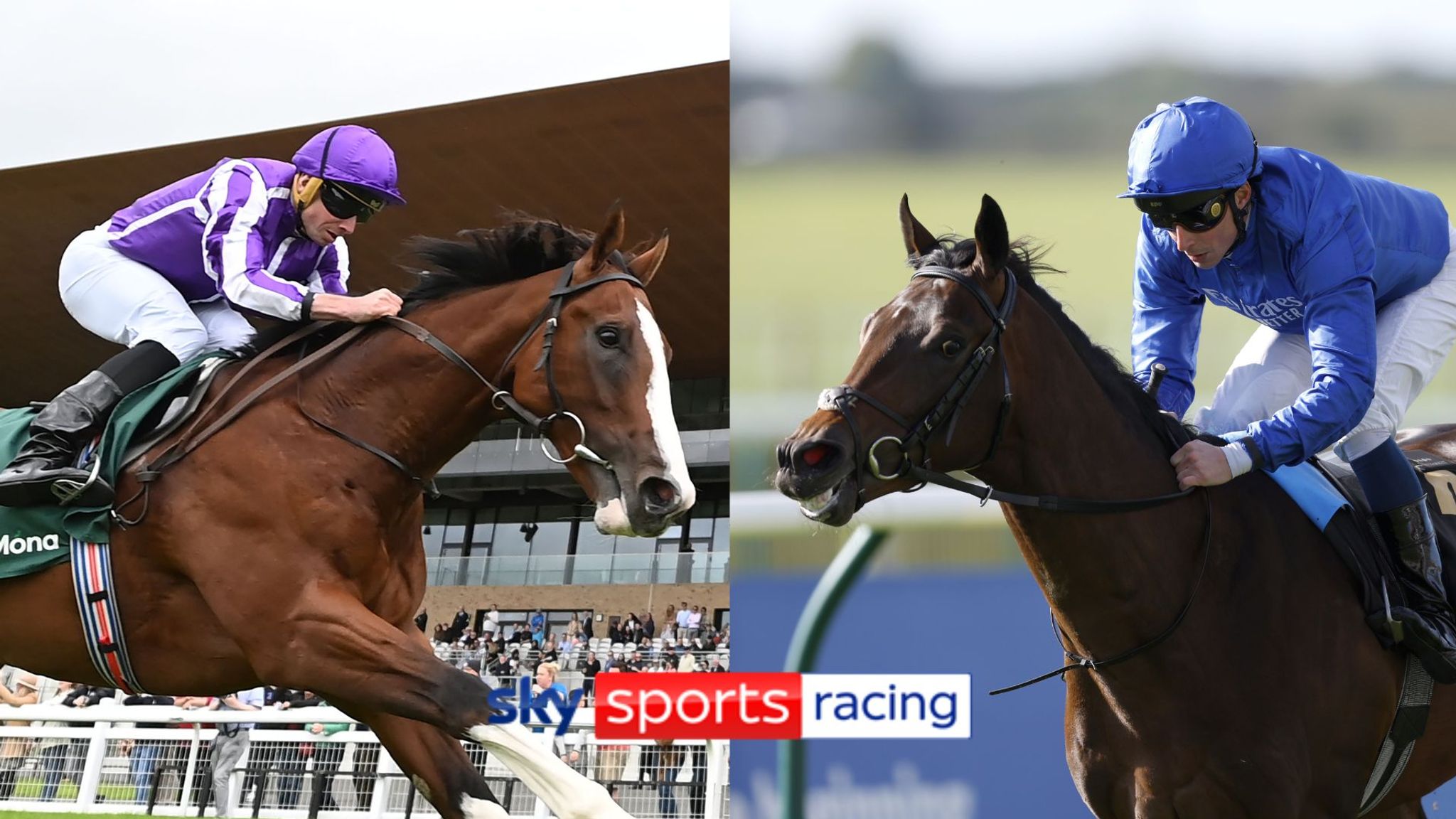 Kameko Futurity Trophy: Diego Velazquez and Ancient Wisdom headline ...