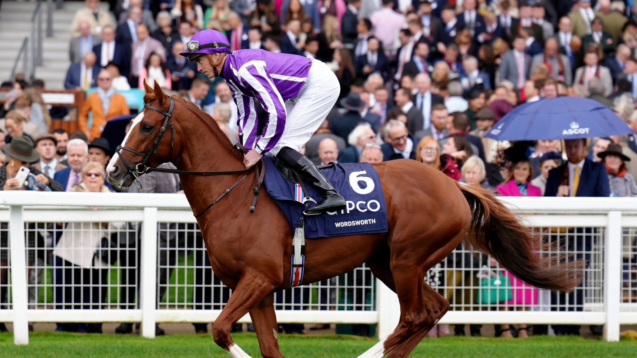 Today on Sky Sports Racing: Bangor-on-Dee hosts busy eight-race jumps ...