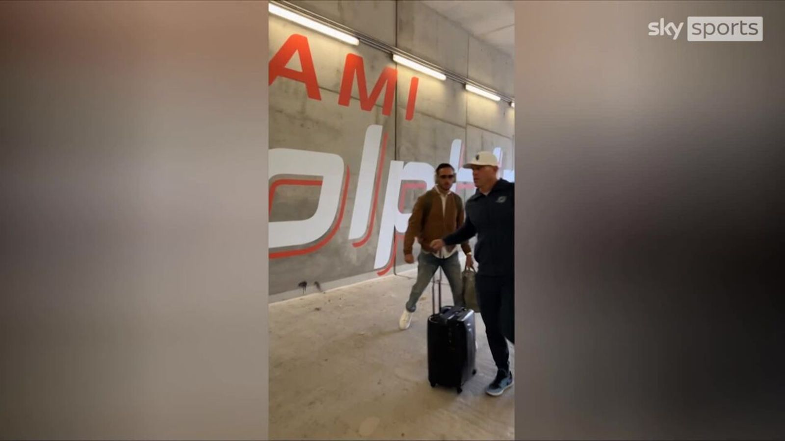 'He's gone viral again!' | Dolphins head coach makes entertaining ...