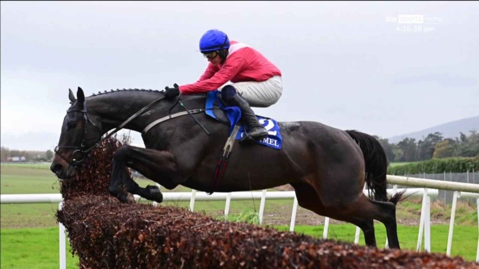 King George Chase: Allaho has two Christmas options including Savills ...