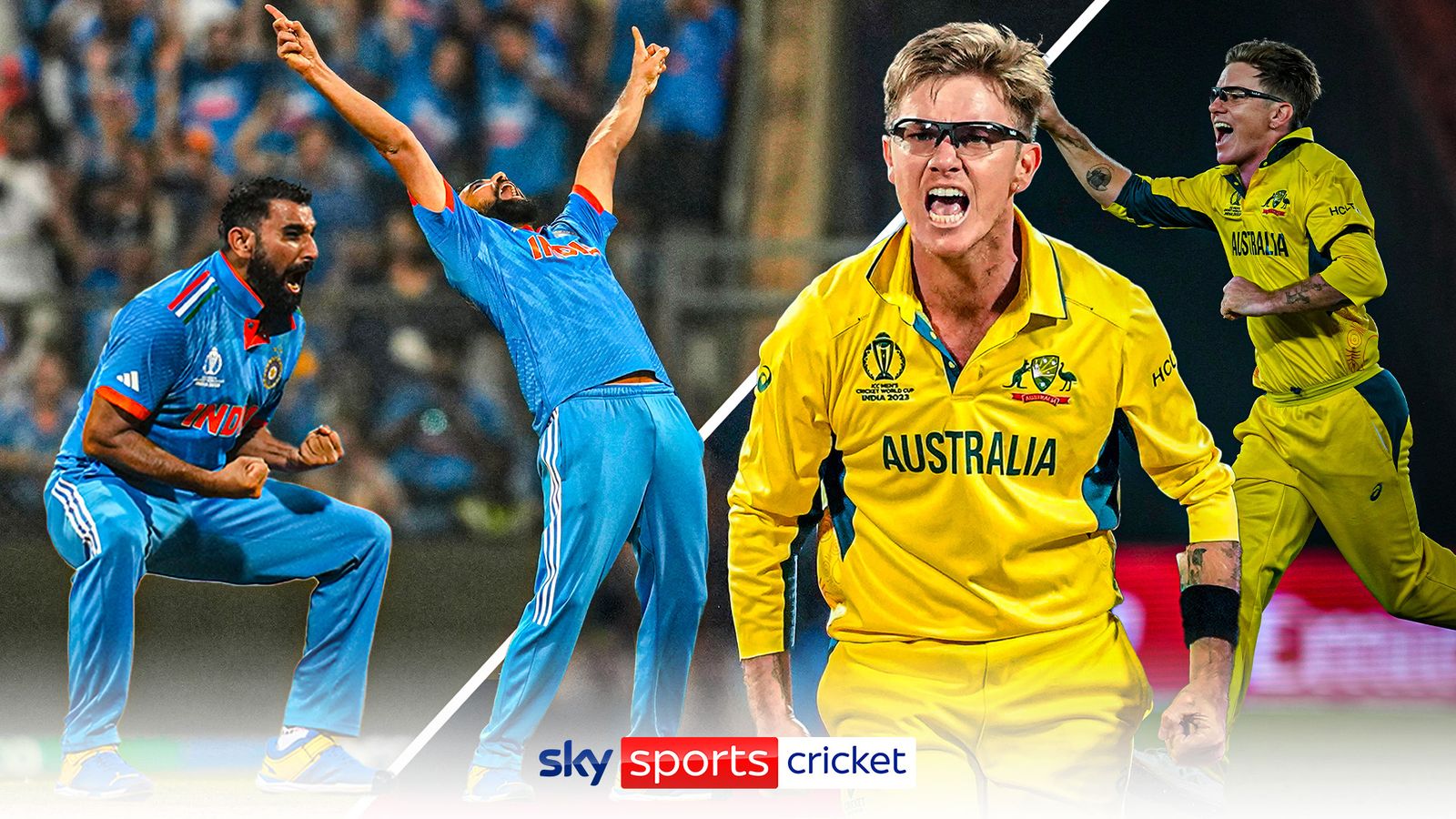 Cricket World Cup final: Australia aim to silence crowd in India's ...