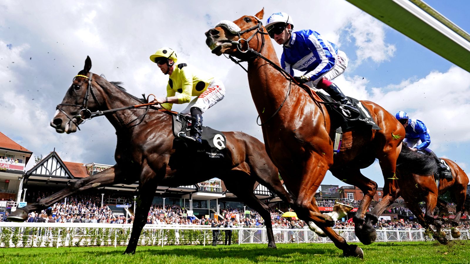 Surfing The Sand: Three horses to follow at Lingfield on Saturday from ...