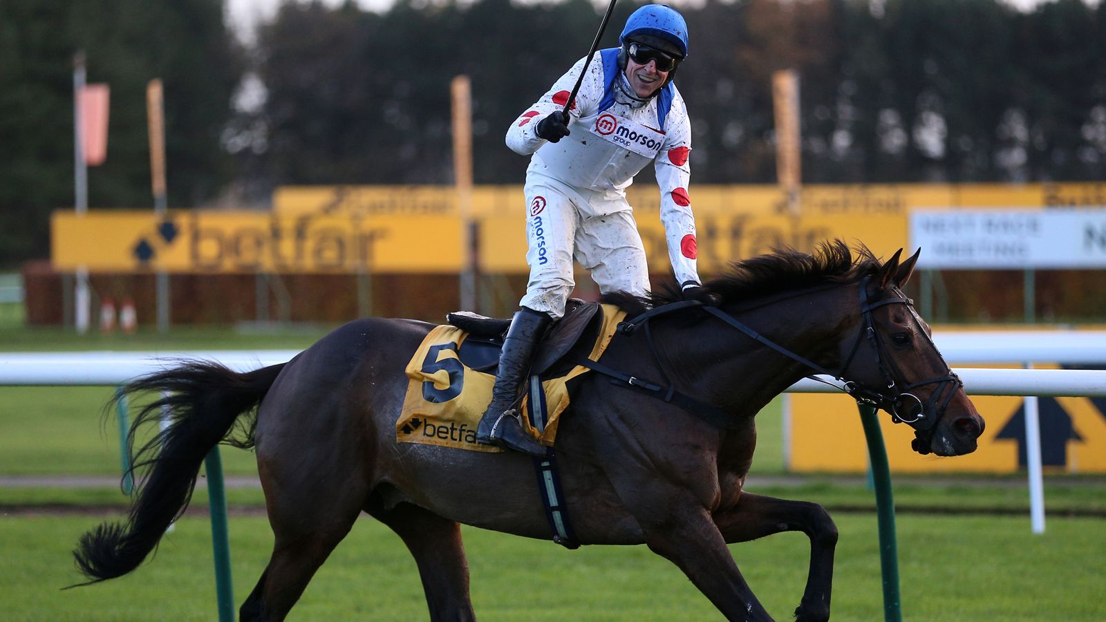 Skelton 'very happy' with Winter Million hope Protektorat | Racing News ...