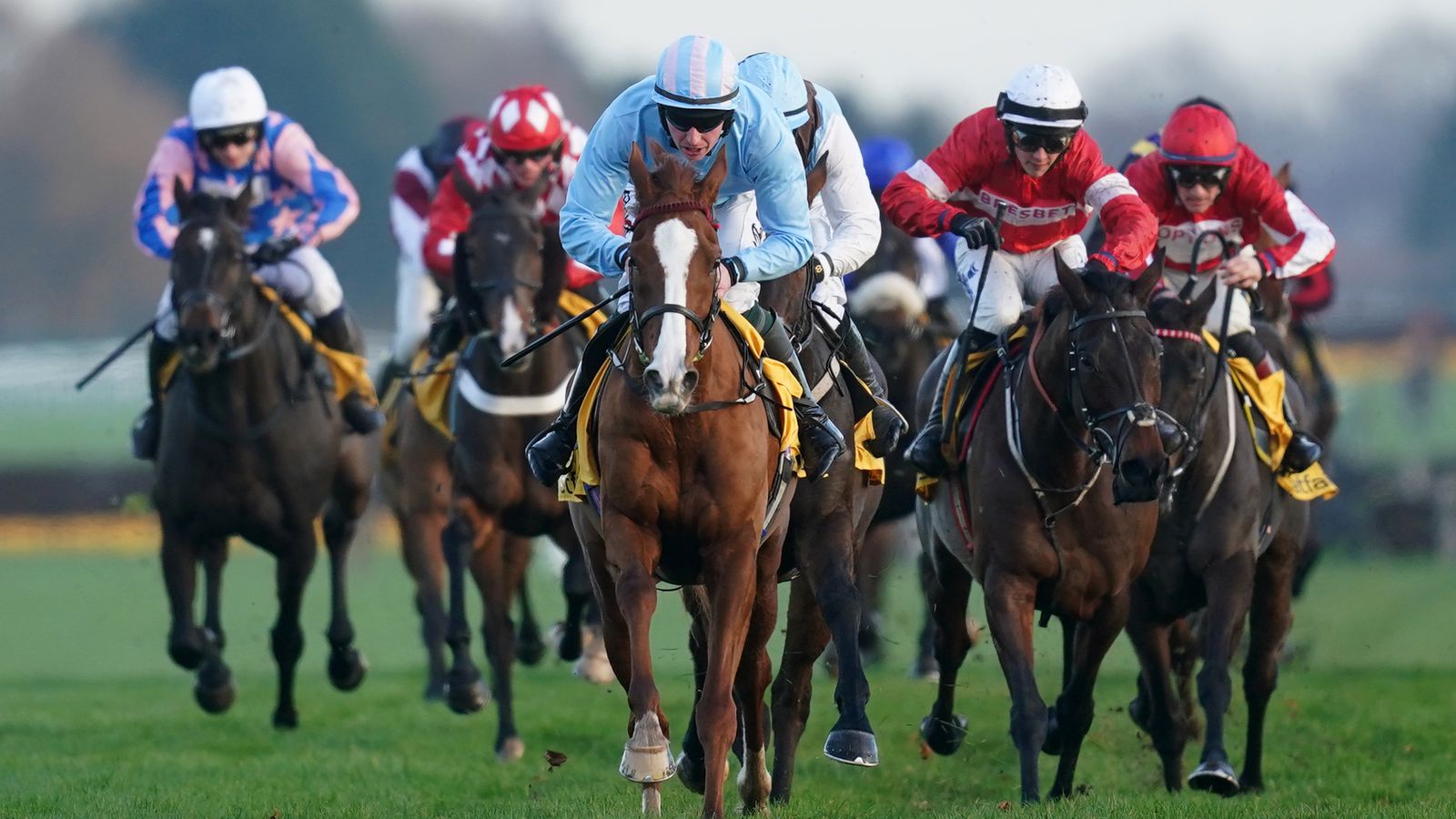 Racing round-up: Crambo a Stayers' Hurdle possible | Strong Leader set ...