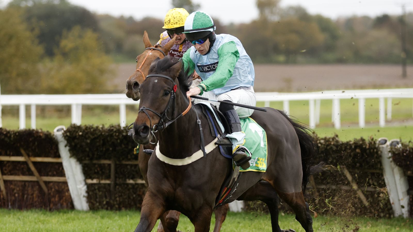 You Wear It Well to have sights lowered by Jamie Snowden after Fighting ...