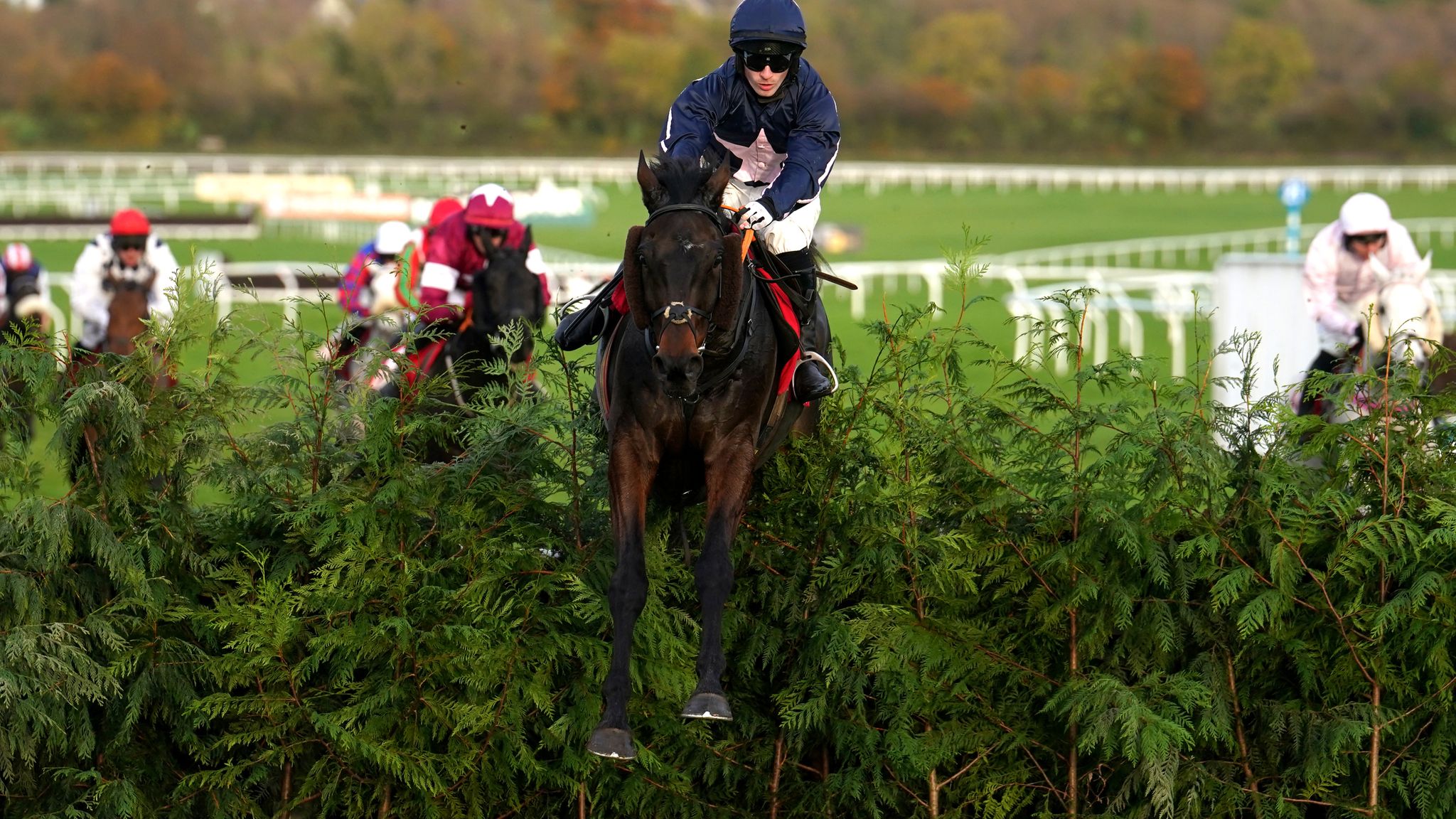 Arkle Challenge Trophy Trial Novices' Chase: JPR One final-fence unseat ...