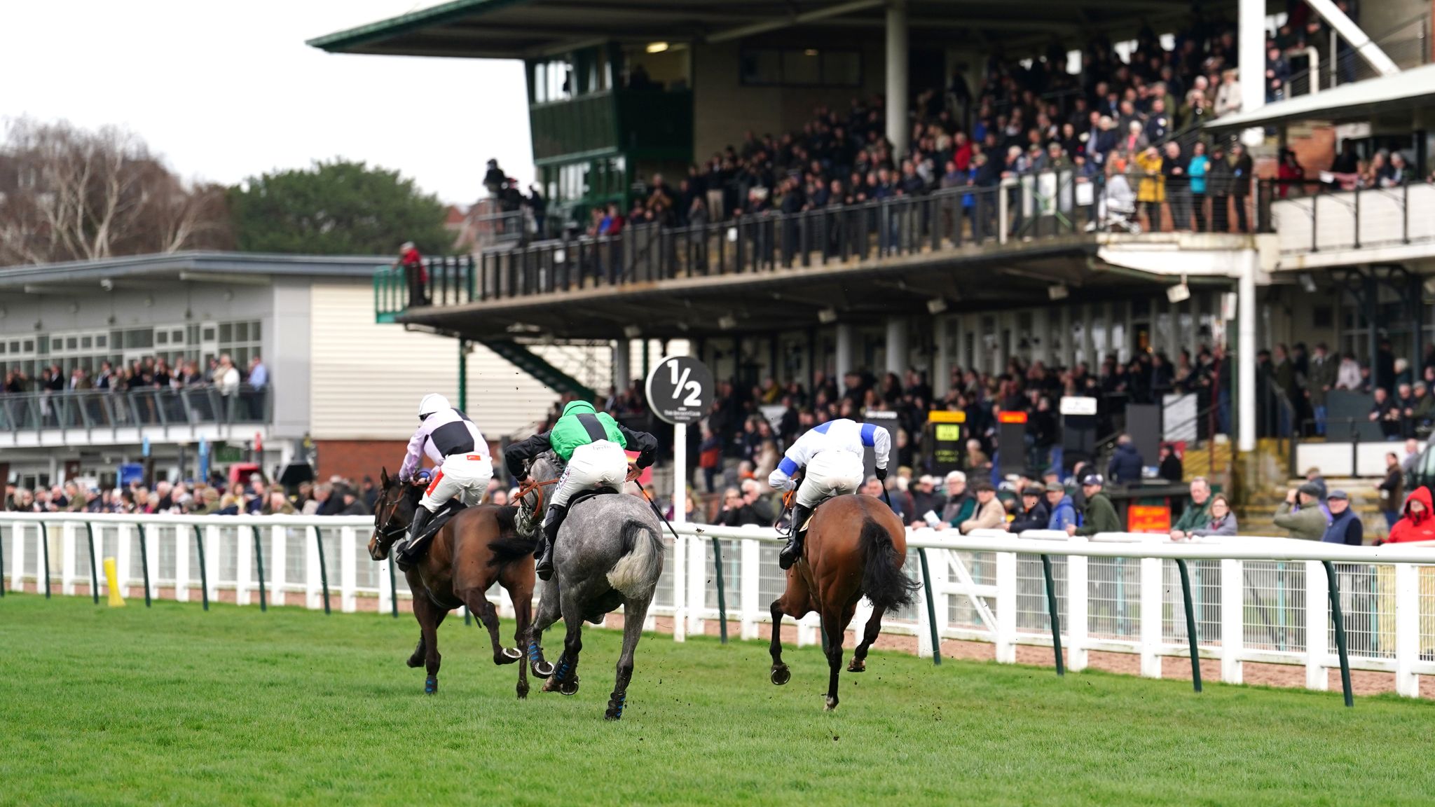 Saturday racing tips: Five horses to follow at Ascot on Sodexo Gold Cup ...