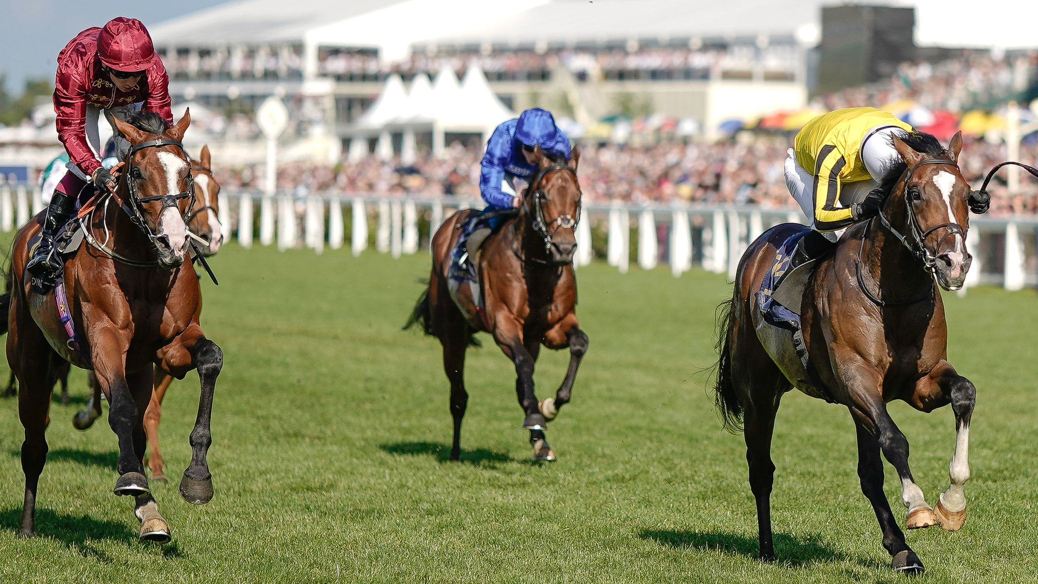 JCB Triumph Trial: Cheltenham favourite Burdett Road bids to enhance ...