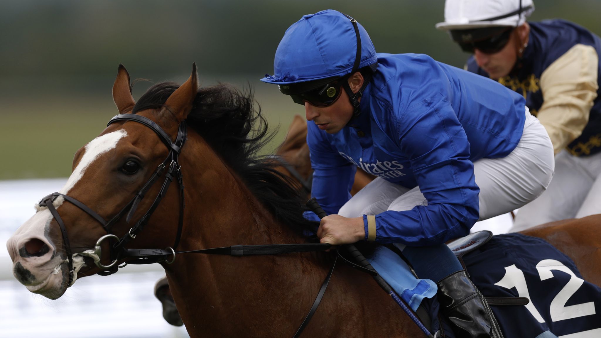 Surfing The Sand: Three horses to follow at Lingfield on Saturday from ...