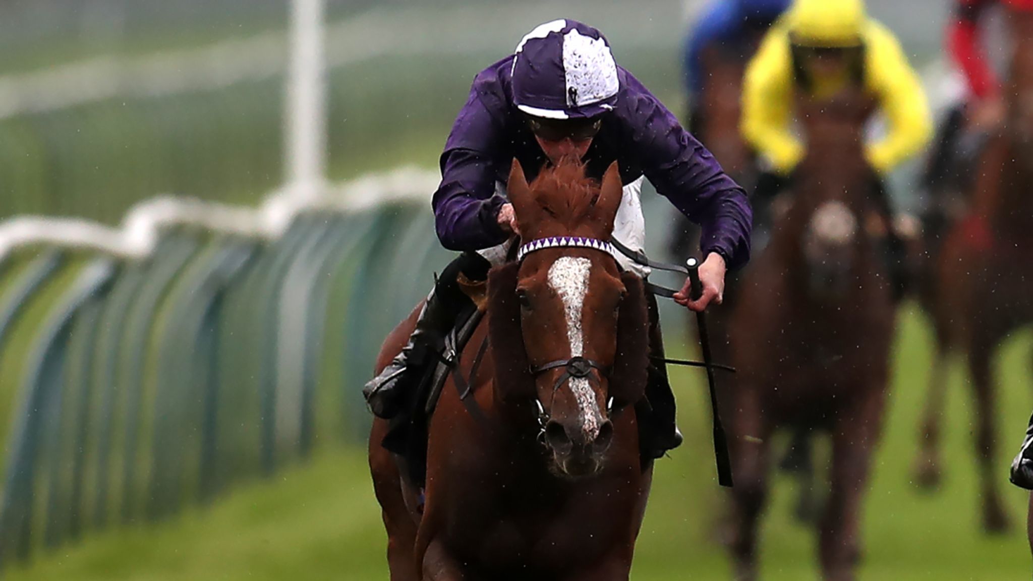 November Handicap: Jamie Lynch's horse-by-horse guide to the Newcastle ...