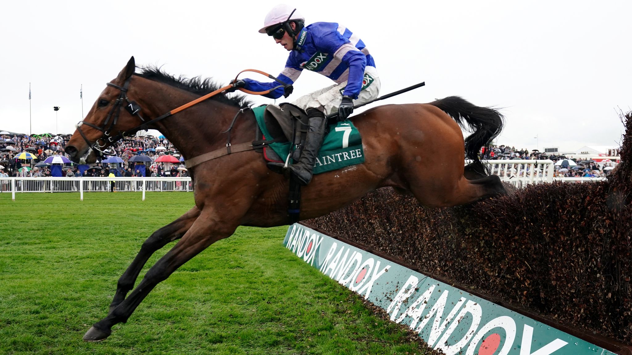 1965 Chase: Horse-by-horse guide to big Ascot race, live on Sky Sports ...