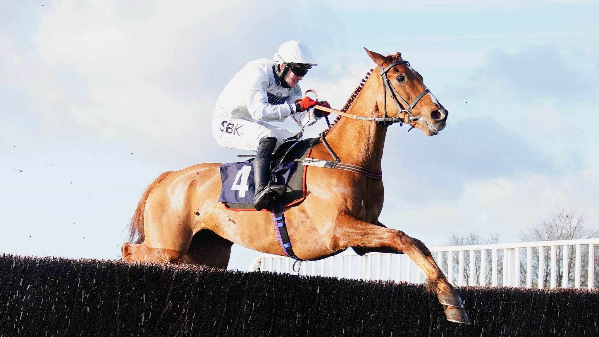 Saturday racing tips: Five horses to follow at Ascot on Sodexo Gold Cup ...