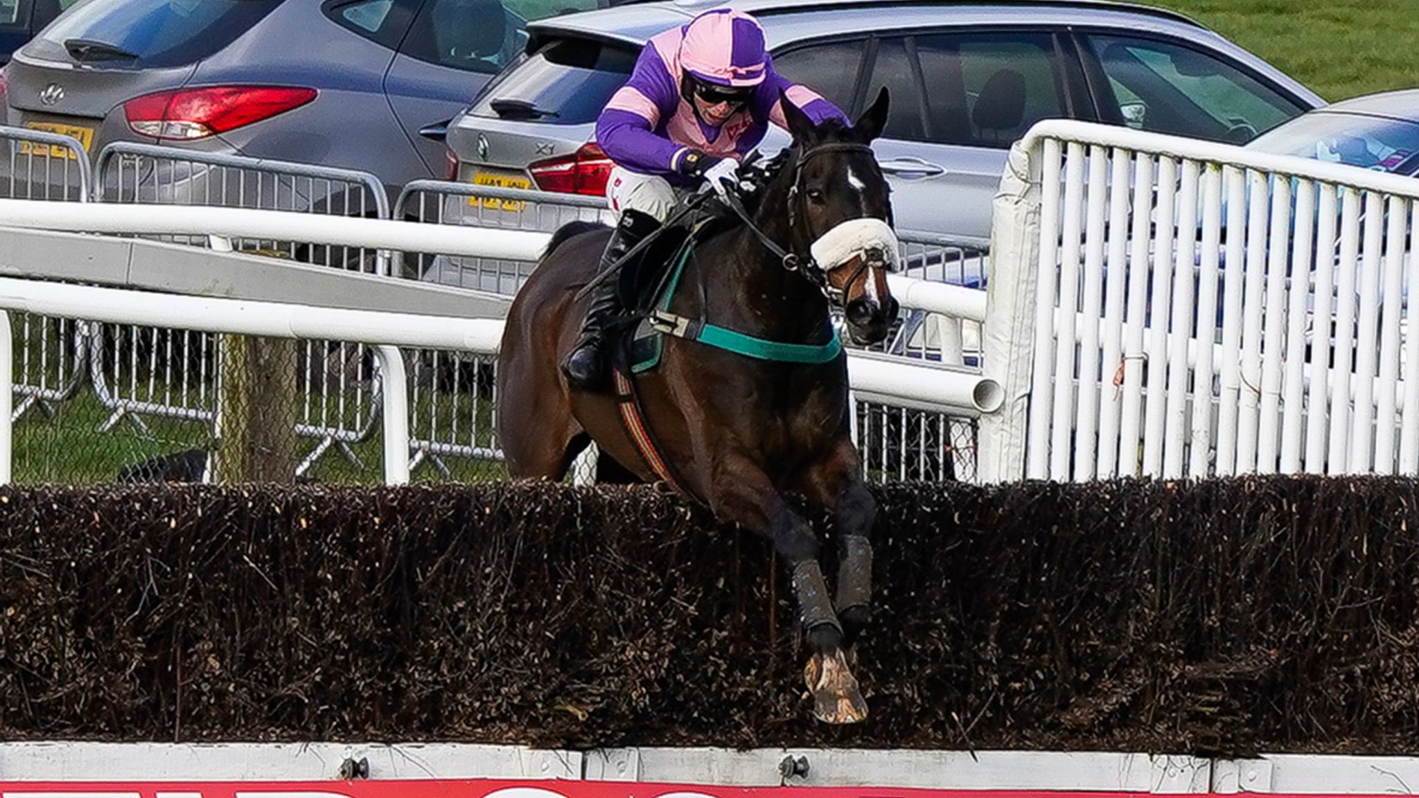 Today on Sky Sports Racing: Tommie Beau headlines Fontwell feature on ...