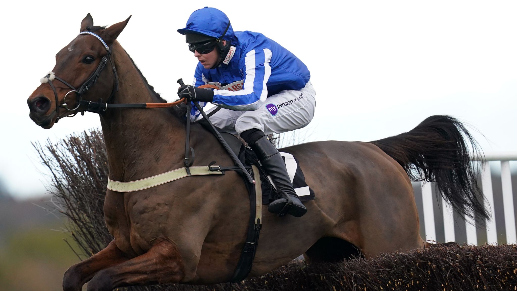 Today on Sky Sports Racing: Your Darling bids for repeat Ascot victory with Chepstow and ...