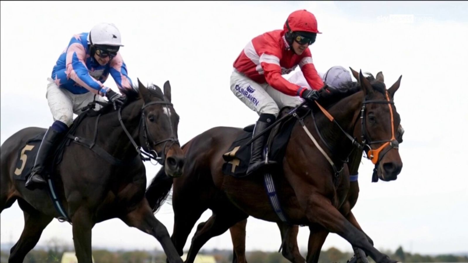 Ascot's Long Walk Hurdle: Dashel Drasher set for 'celebrity' battle ...