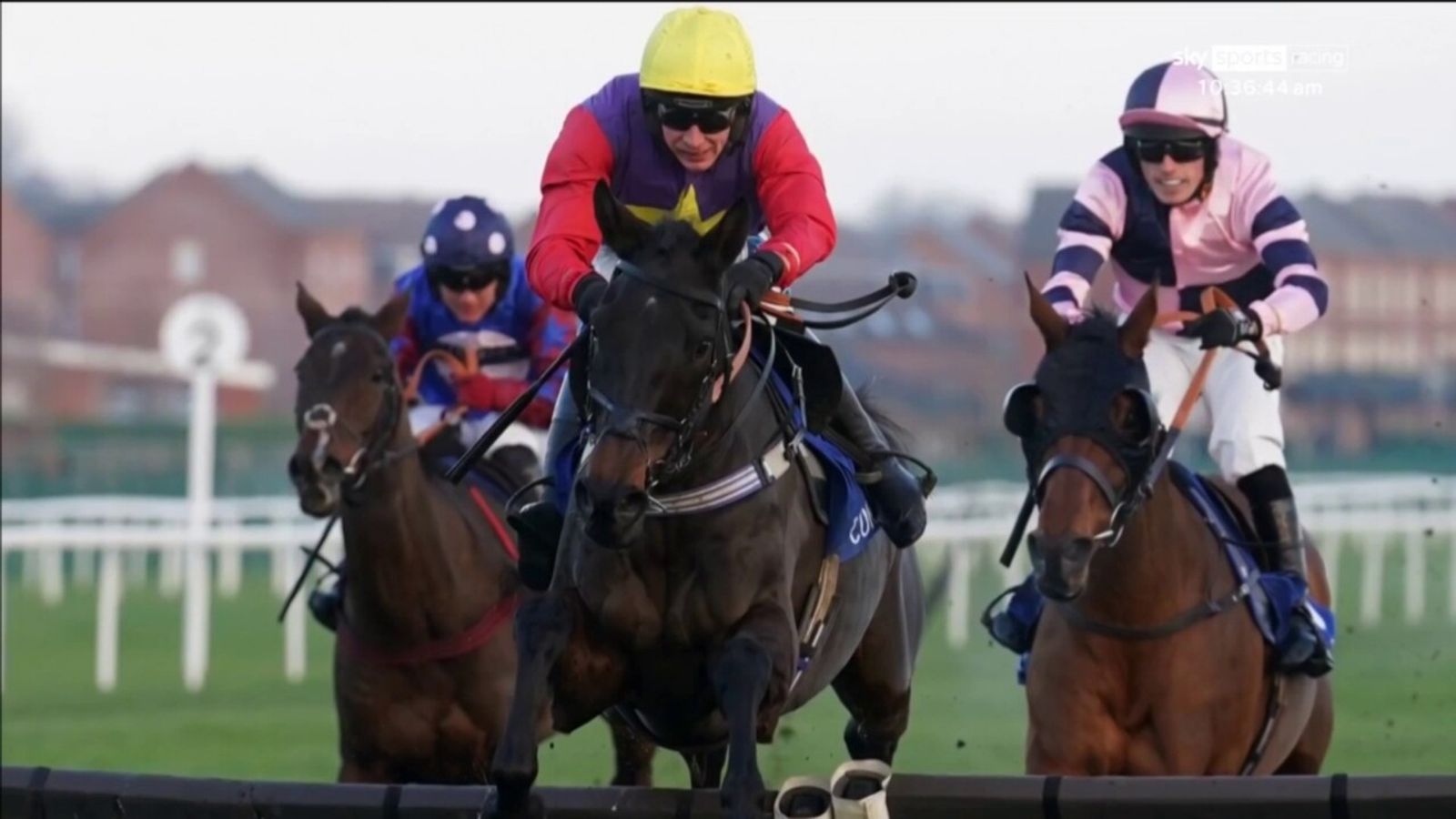 Long Walk Hurdle: 'Celebrity' Dashel Drasher up for the fight with ...