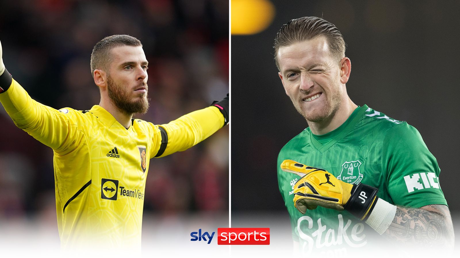 Best Premier League Saves of 2023 | Part One | Football News | Sky Sports