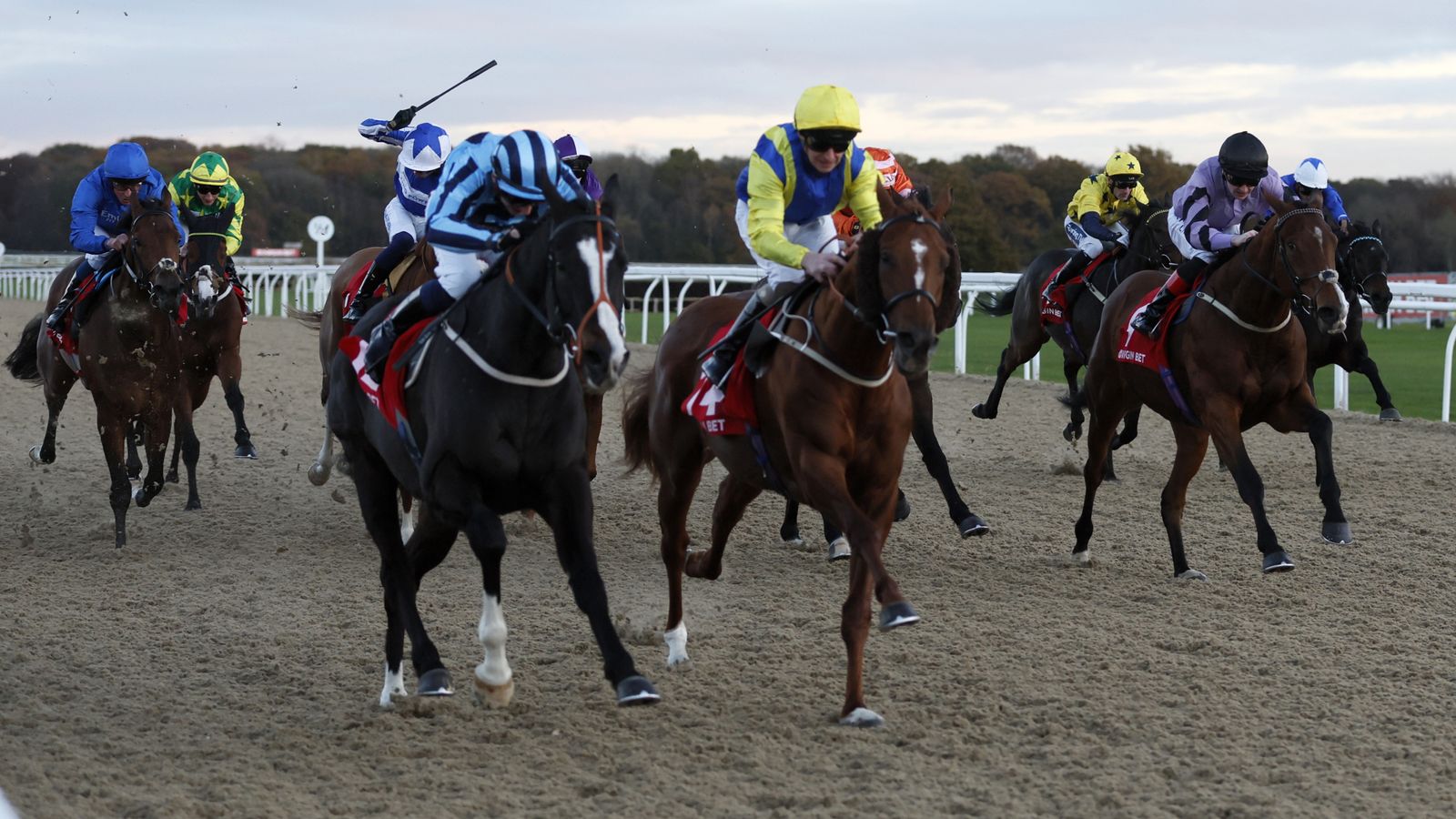 Boxing Day racing: Onesmoothoperator headlines Wolverhampton card plus ...