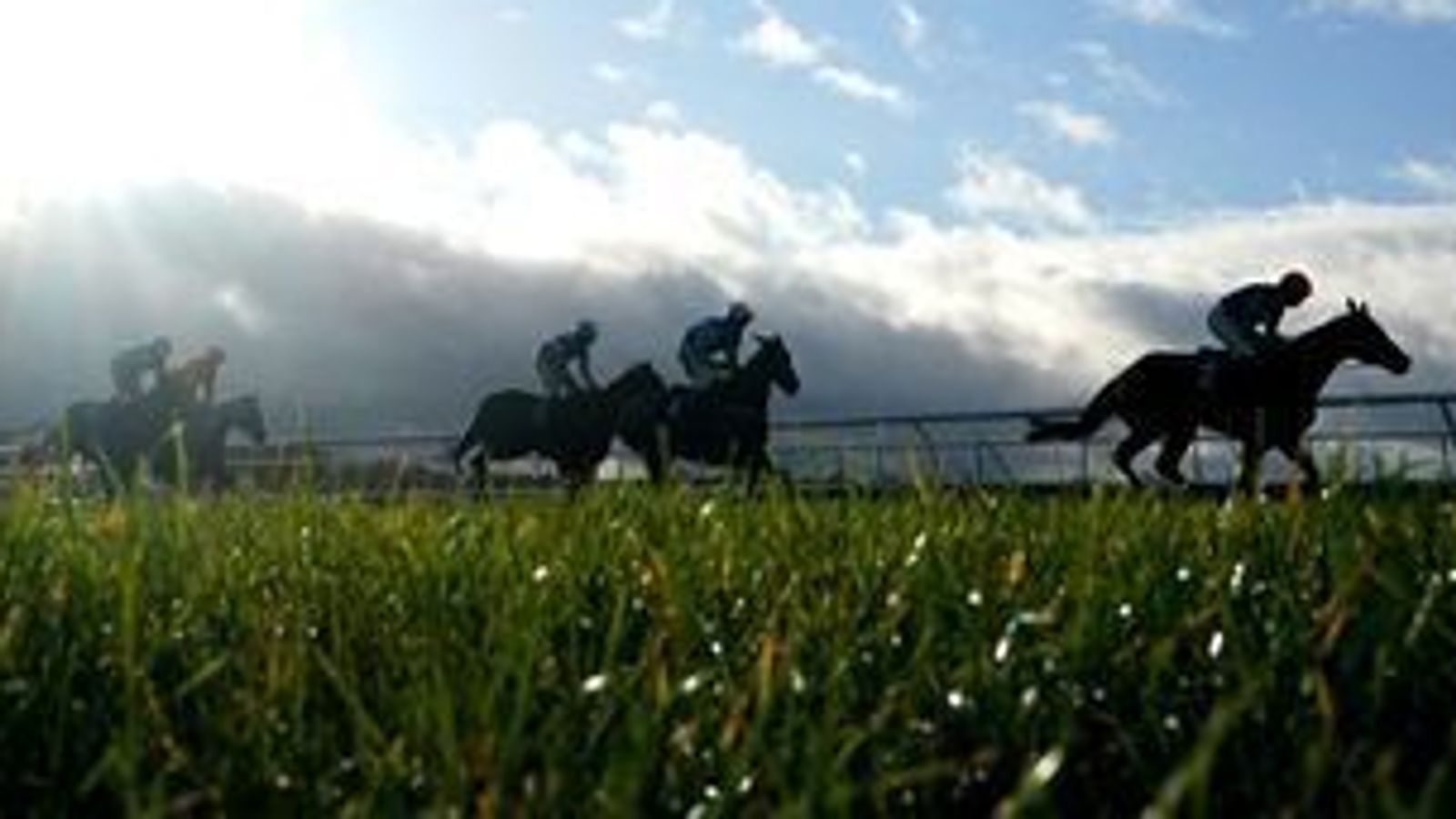 BHA chief: We are taking welfare issue in racing incredibly seriously ...