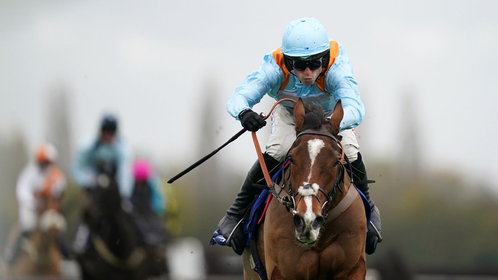 Saturday racing tips! Four horses to follow at Ascot's Christmas Racing ...