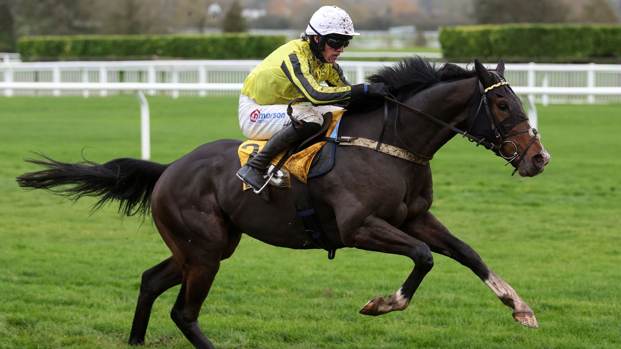 JCB Triumph Trial: Cheltenham favourite Burdett Road bids to enhance ...