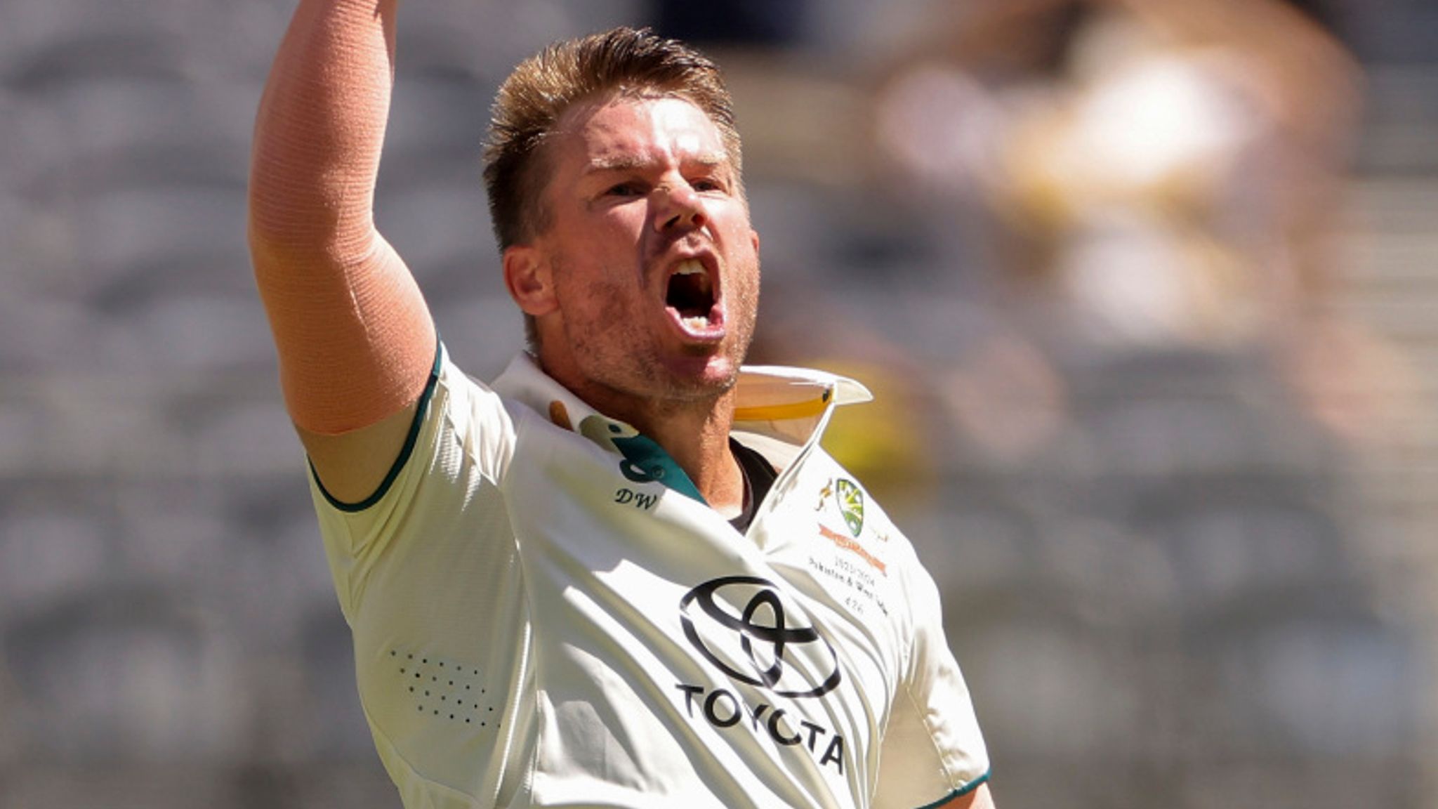 Australia vs Pakistan: David Warner opens farewell Test with 164 as ...