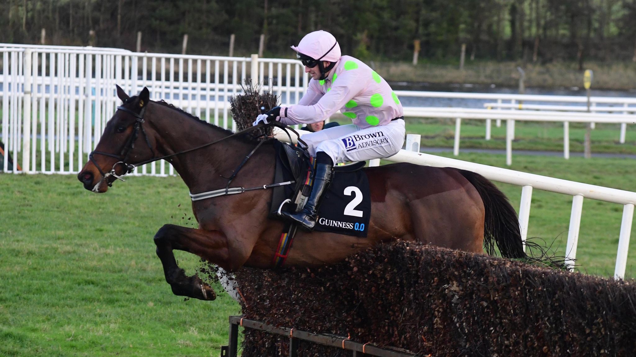 Guinness Faugheen Novice Chase: Gaelic Warrior shows star quality for ...