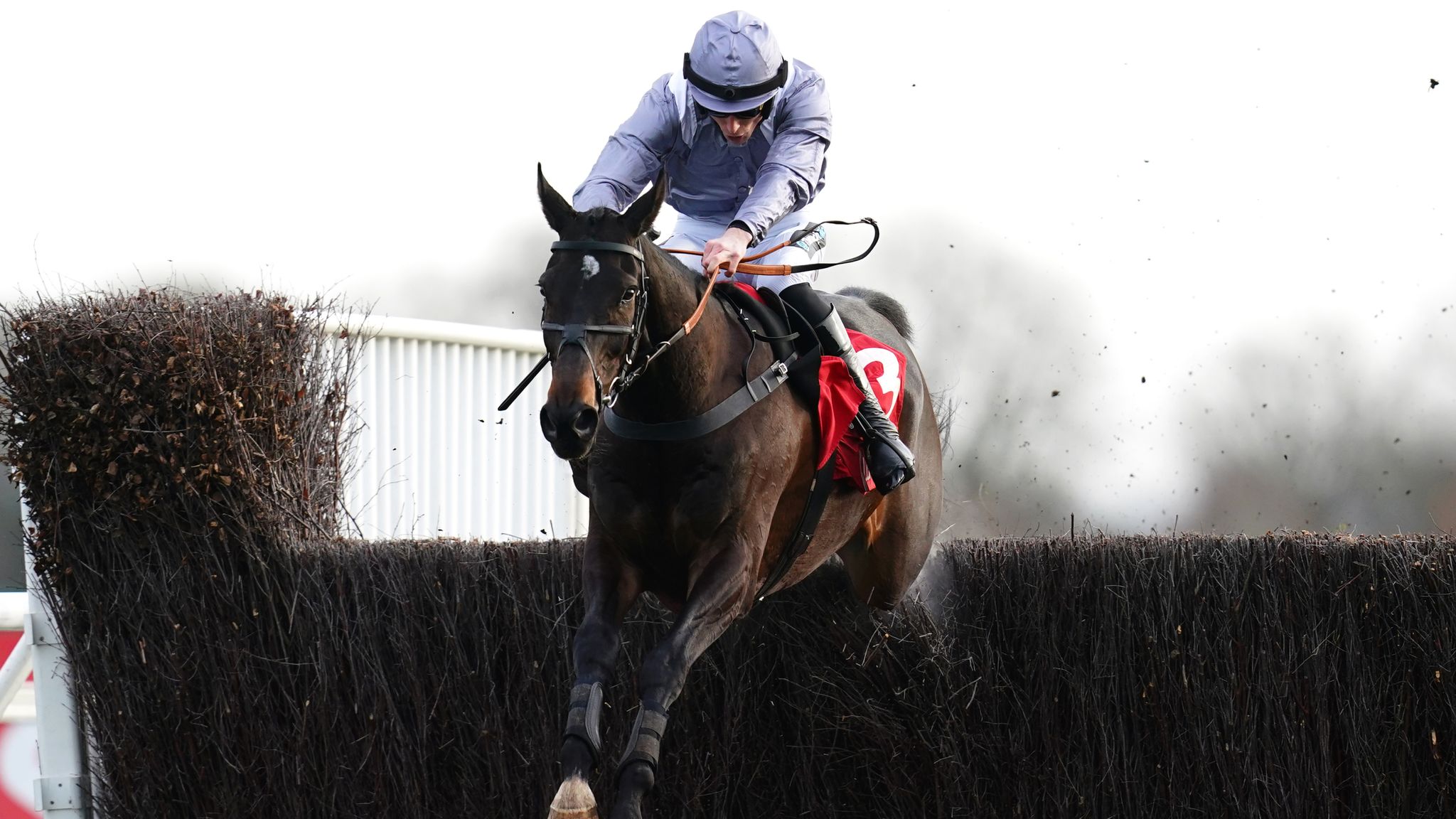 King George VI Chase: Il Est Francais has fitness to prove but Noel ...