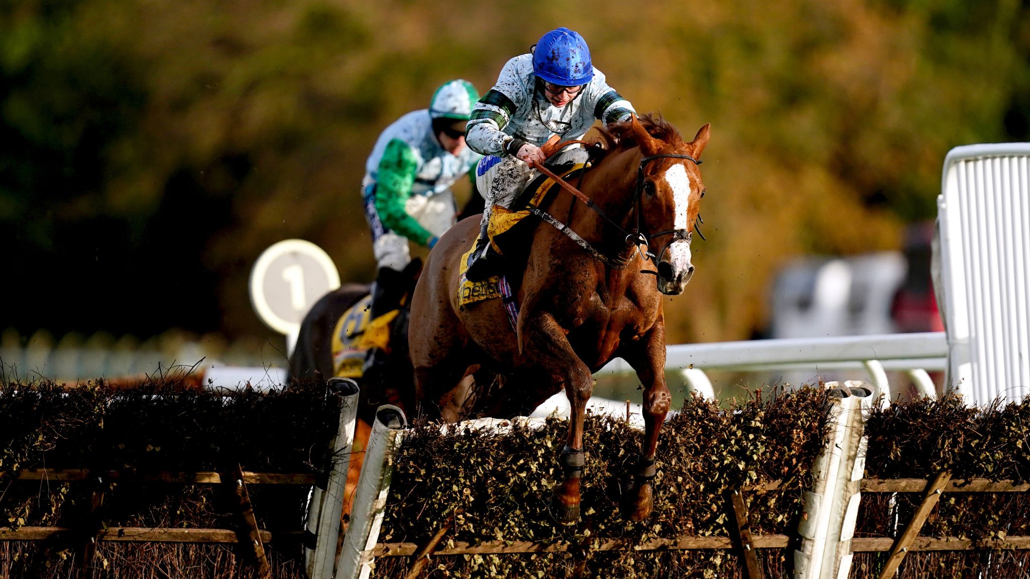 Fighting Fifth Hurdle: Not So Sleepy grinds out second Grade One win ...